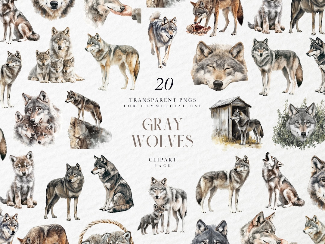 Watercolor Grey Wolves Clipart, Majestic Forest Wildlife, Cute Baby ...