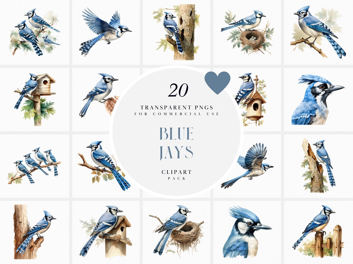 Watercolor Blue Jay Clipart, Flying Blue Jays Clipart, Chirping Blue ...