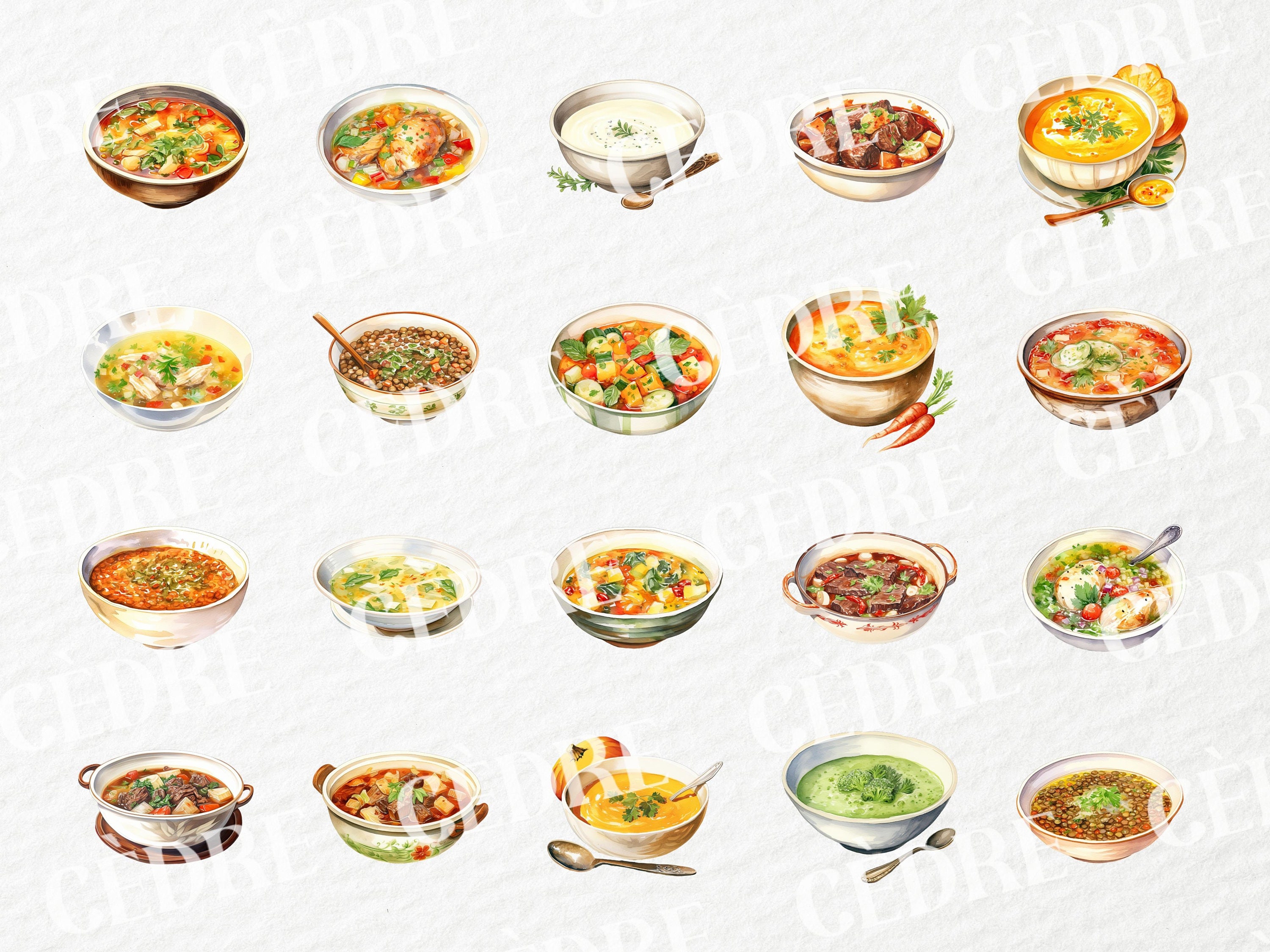 Watercolor Creamy Soup Clipart, Miso Soup Clipart, Veggie Stock Clipart ...