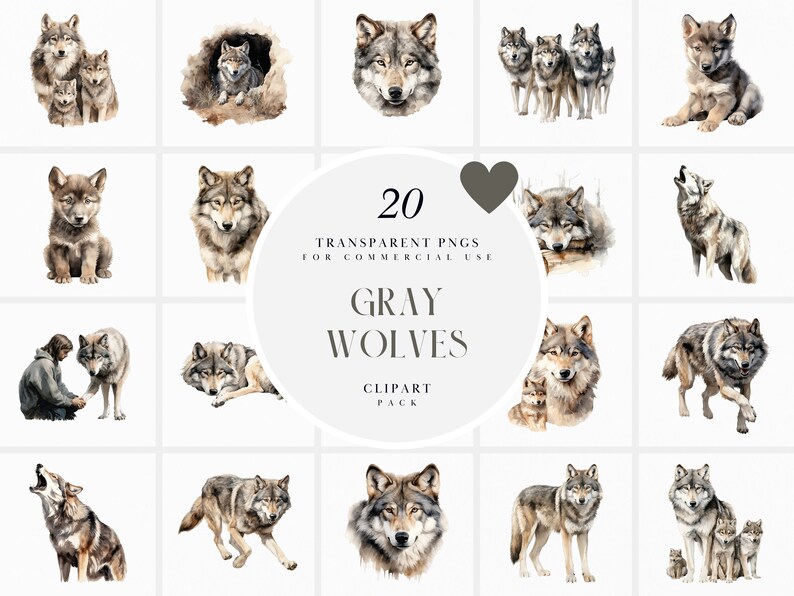 Watercolor Gray Wolf Clipart, Gray Wolves Clipart, Grey Wolf Cub ...