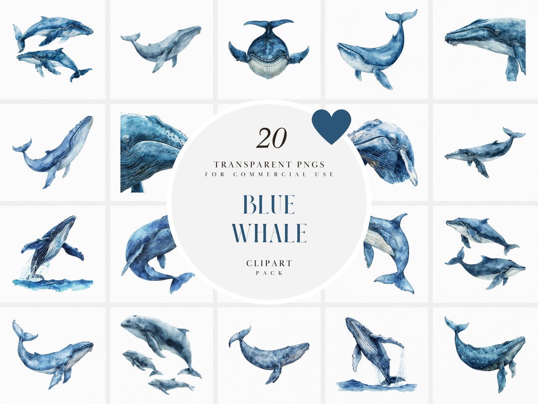 Watercolor Blue Whale Clipart, Baleen Whales Clipart, Swimming Blue ...