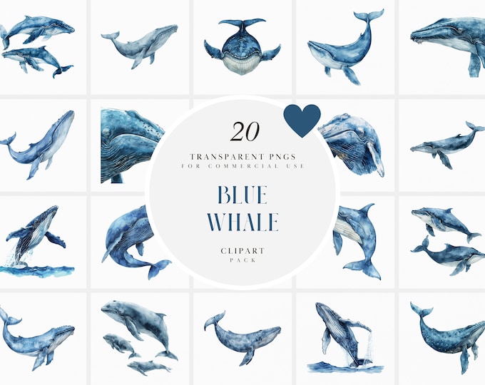 Cute Ocean, Whale Clipart Watercolor Element,whales Clipart, Marine ...