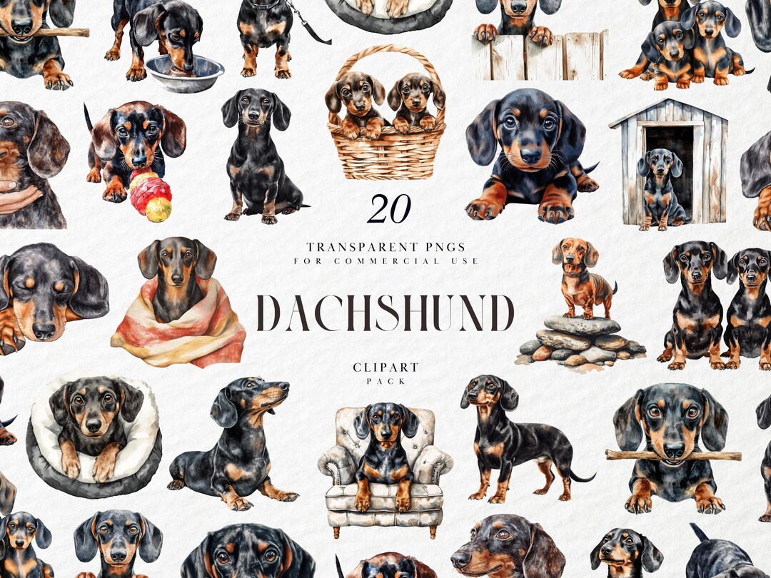 Watercolor Dachshund Clipart, Cute Sausage Wiener Dog Puppy, Adorable ...