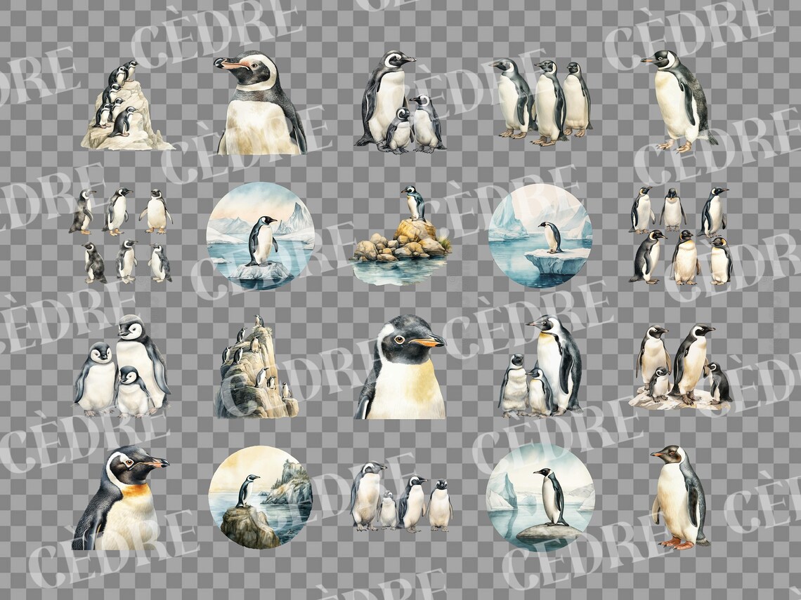 Watercolor Penguins Clipart Cute Penguin Clipart Arctic - Etsy