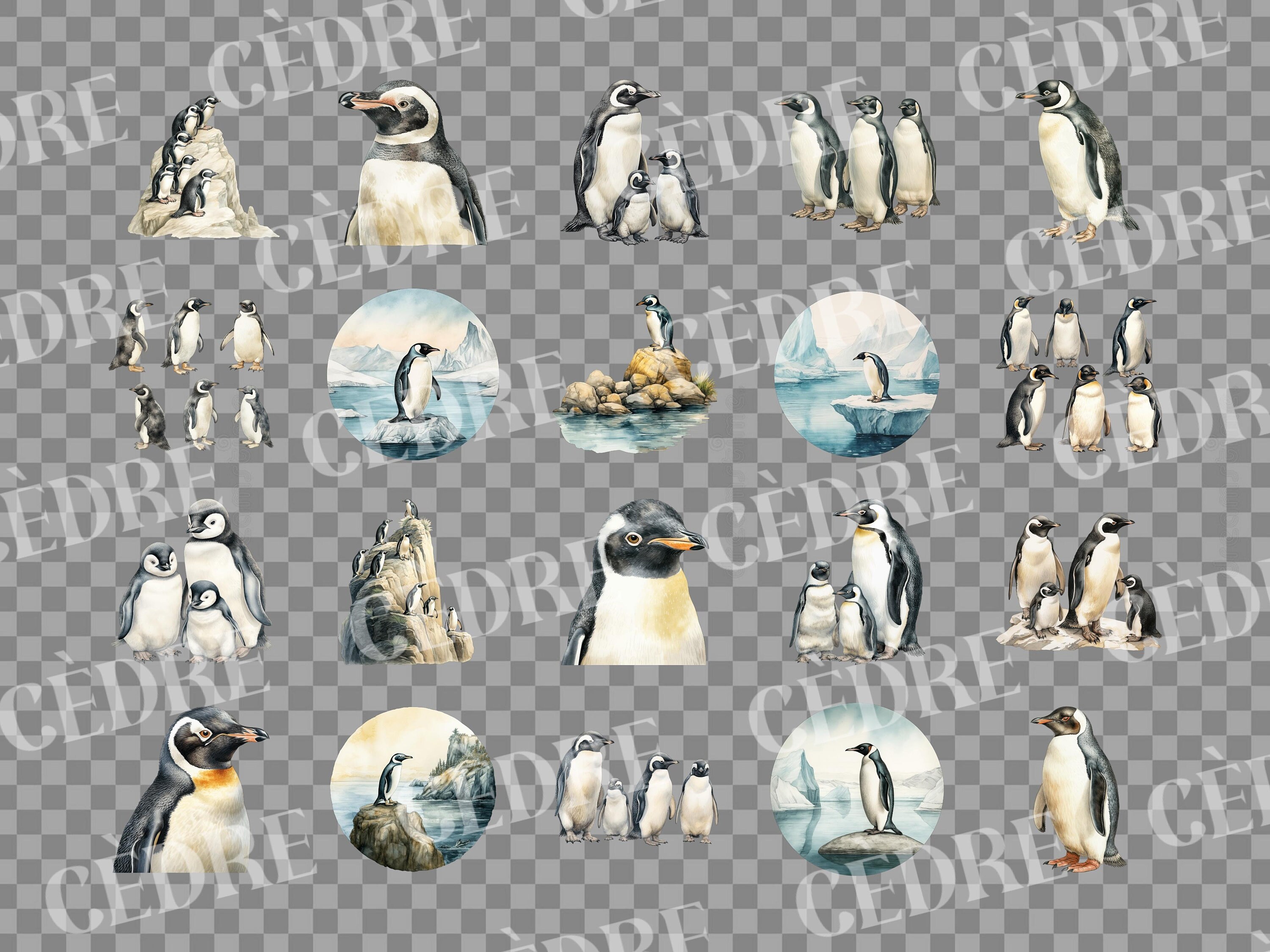 Watercolor Penguins Clipart Cute Penguin Clipart Arctic - Etsy