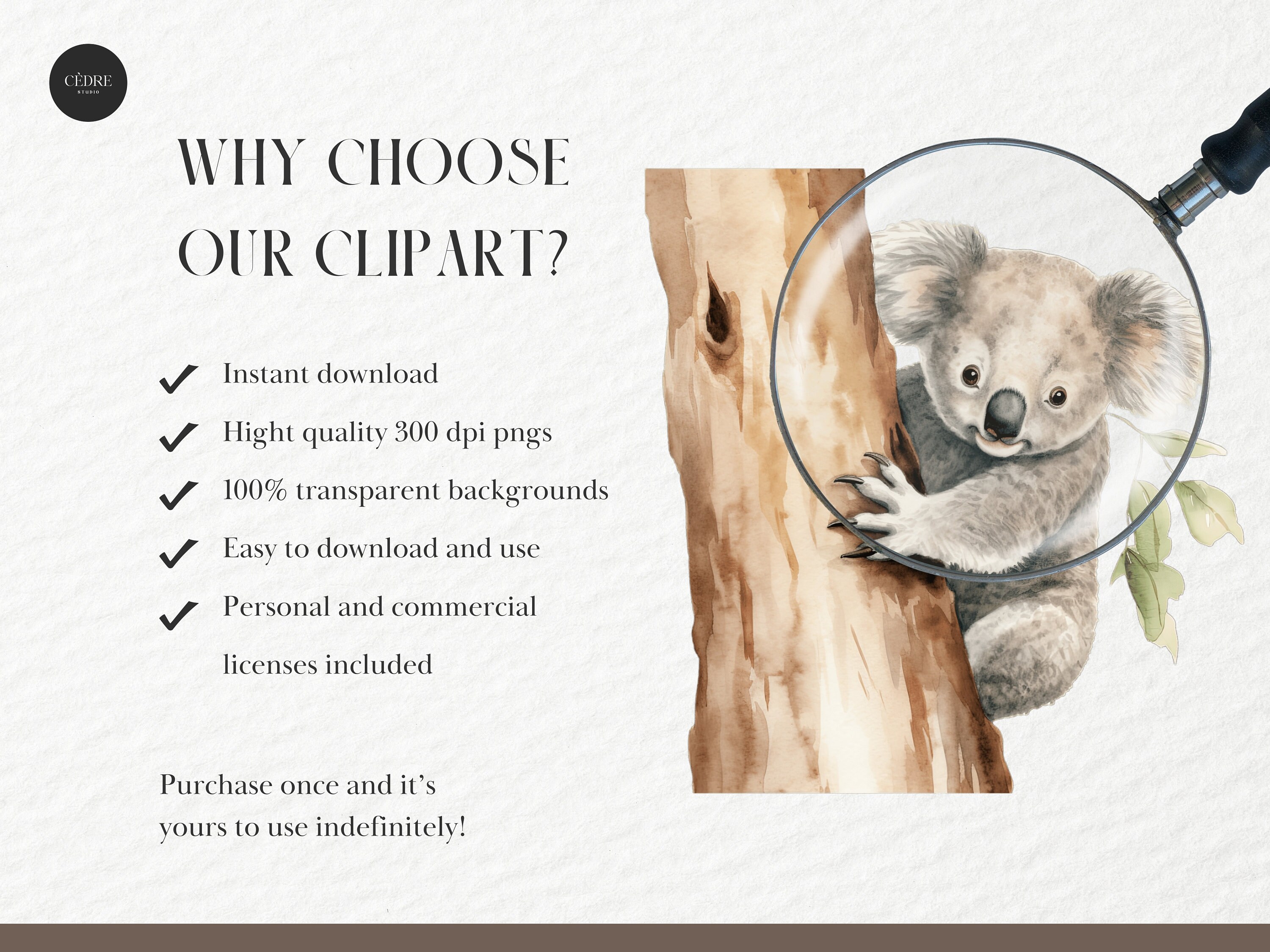 Watercolor Koala Clipart, Realistic Koalas Clipart, Cute Baby Koala ...