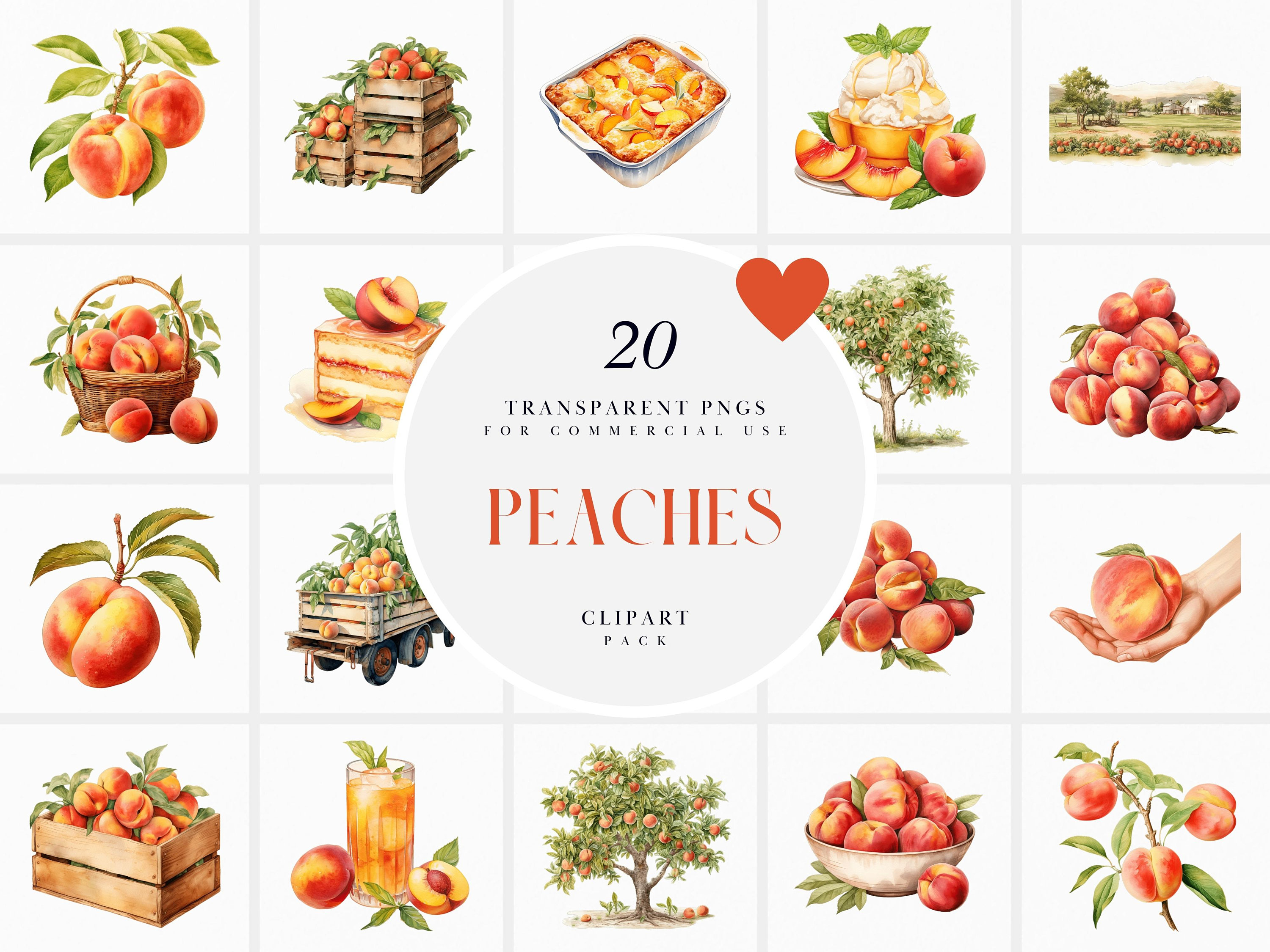 Watercolor Peaches Clipart Peach Clipart Fresh Peach Fruit - Etsy