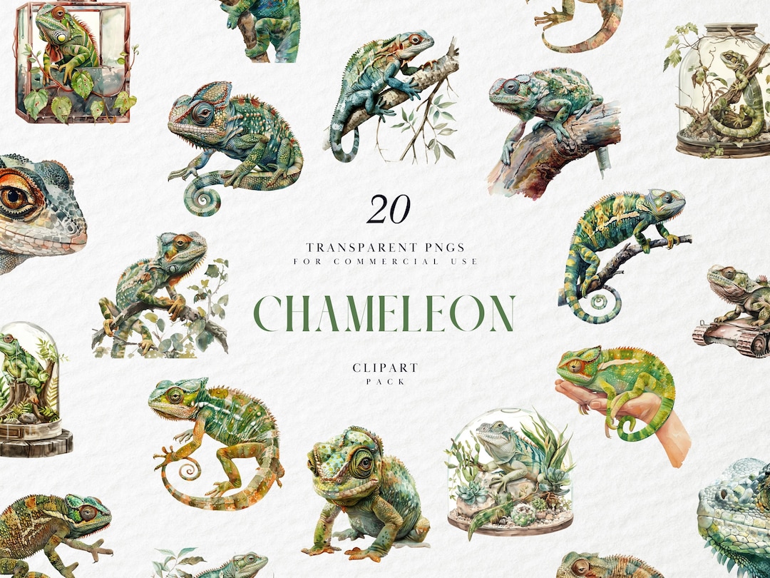 Watercolor Chameleon Clipart, Realistic Reptile Chameleons, Cute Pet ...