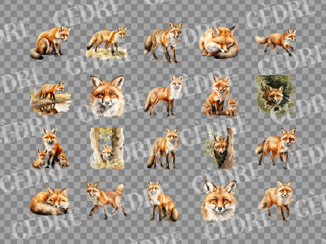 Watercolor Red Fox Clipart, Red Foxes Clipart, Woodland Fox Clipart ...