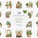 Watercolor Cactus Pot Clipart, Cacti Pot Clipart, Potted Cactus House ...
