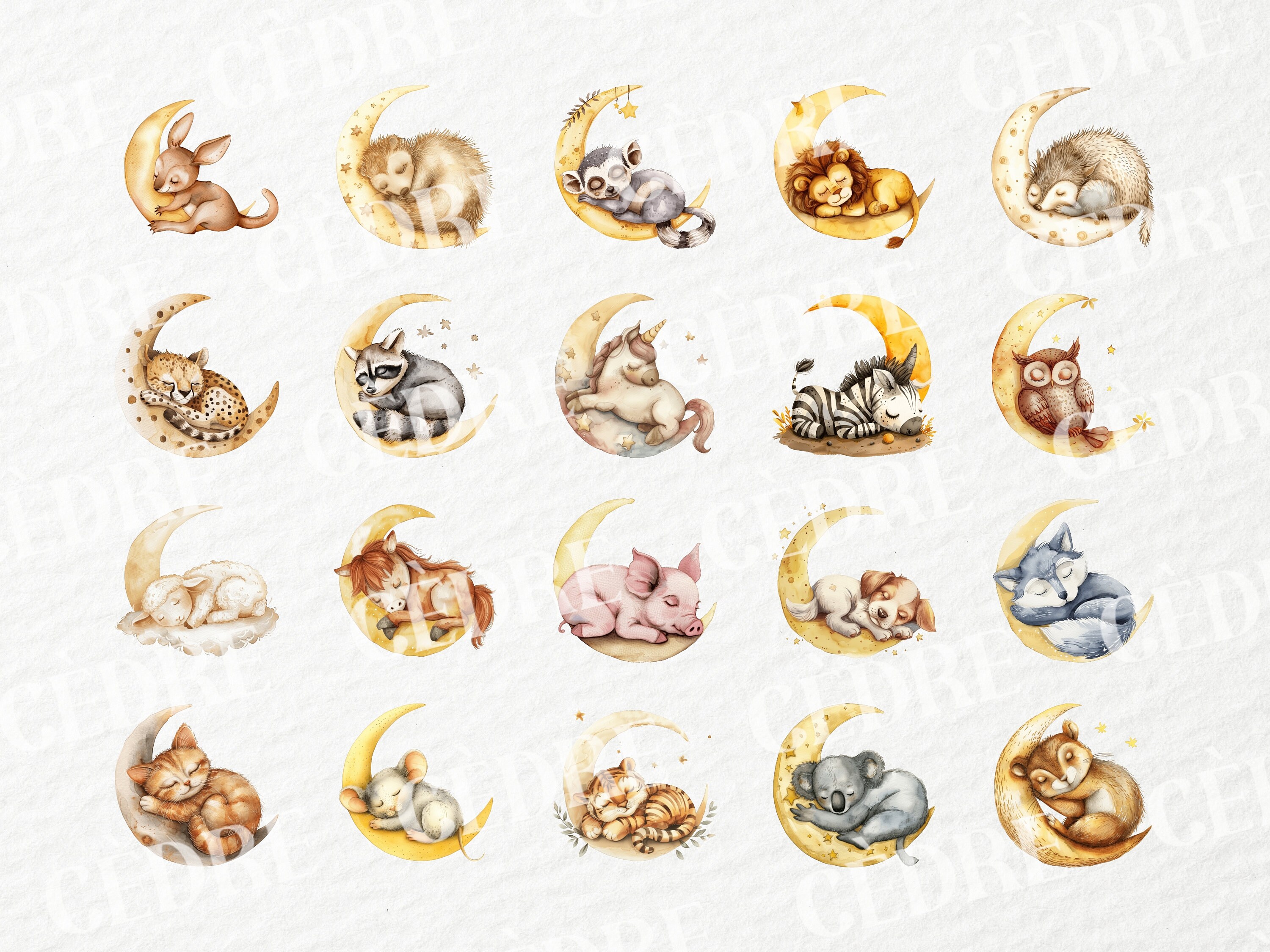 Watercolor Sleeping Zoo Animals Clipart, Cute Nursery Sleeping Animals ...