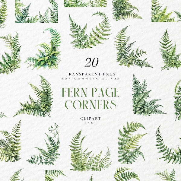 Border Fern - Etsy UK
