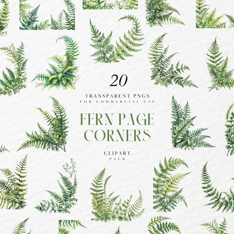 Border Fern - Etsy UK