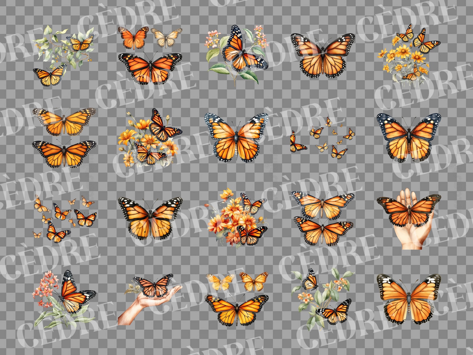 Watercolor Monarch Butterflies Clipart, Flying Monarch Butterfly ...