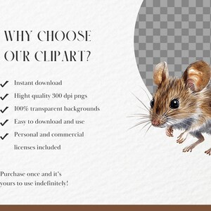 Watercolor Brown Mouse Clipart, Realistic, Rodents, Pets, House Mouse ...