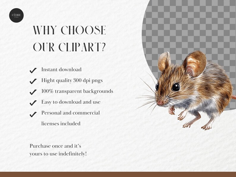 Watercolor Brown Mouse Clipart, Realistic, Rodents, Pets, House Mouse ...