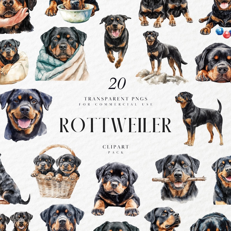 Rottweiler on Guard - Etsy