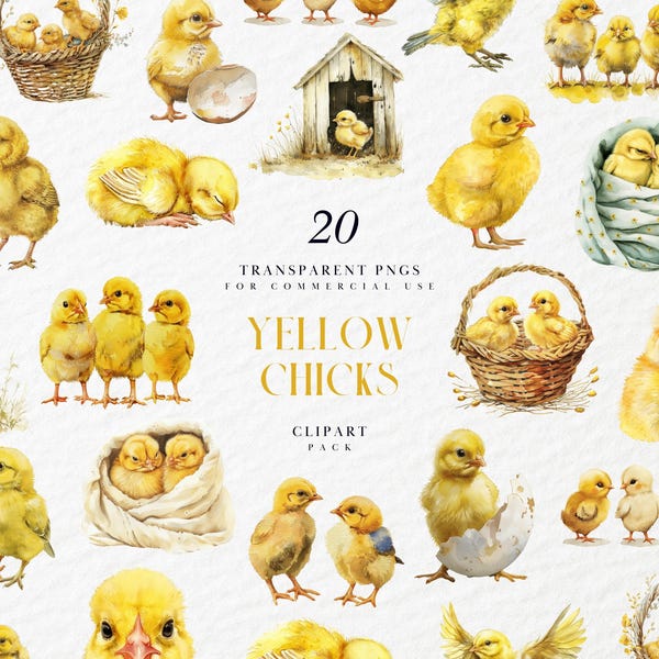 Yellow Chicken Clipart - Etsy UK