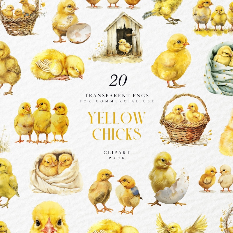 Yellow Chicken Clipart - Etsy UK