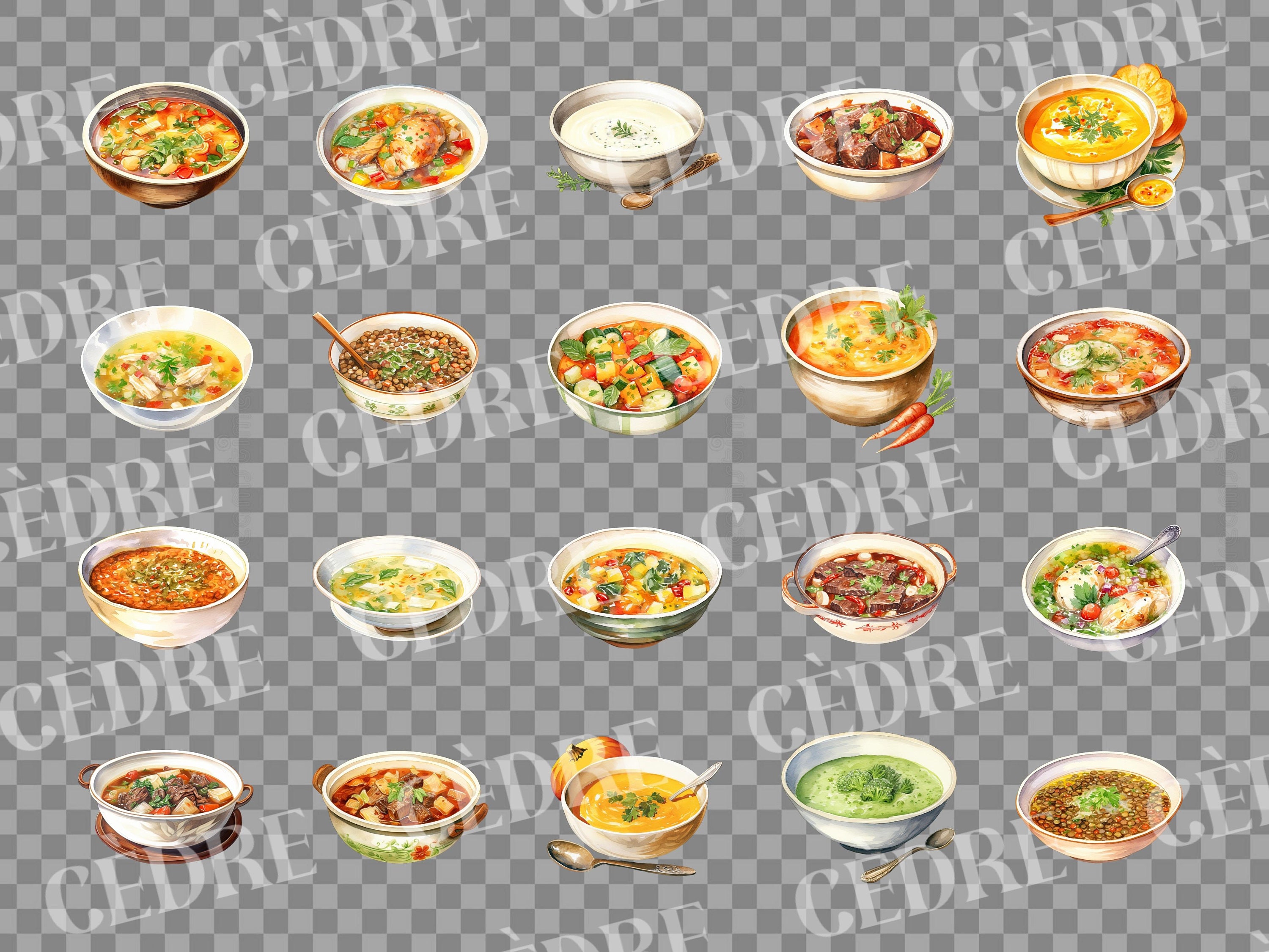 Watercolor Creamy Soup Clipart, Miso Soup Clipart, Veggie Stock Clipart ...