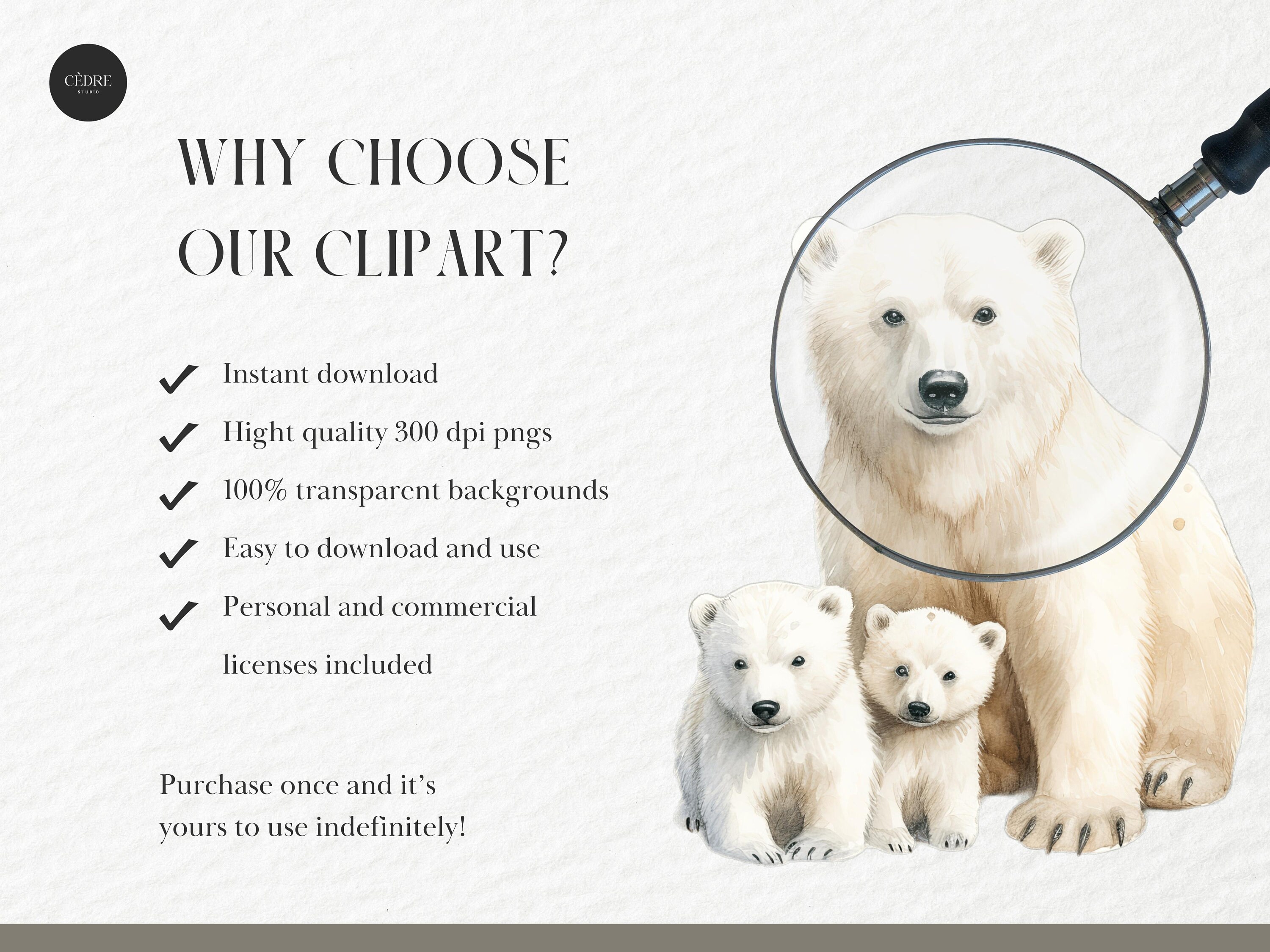 Watercolor Polar Bear Clipart, White Polar Bears Clipart, Realistic ...