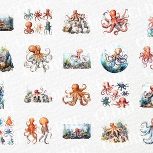 Watercolor Octopus Clipart, Sea Life Octopus Clipart, Under the Sea ...