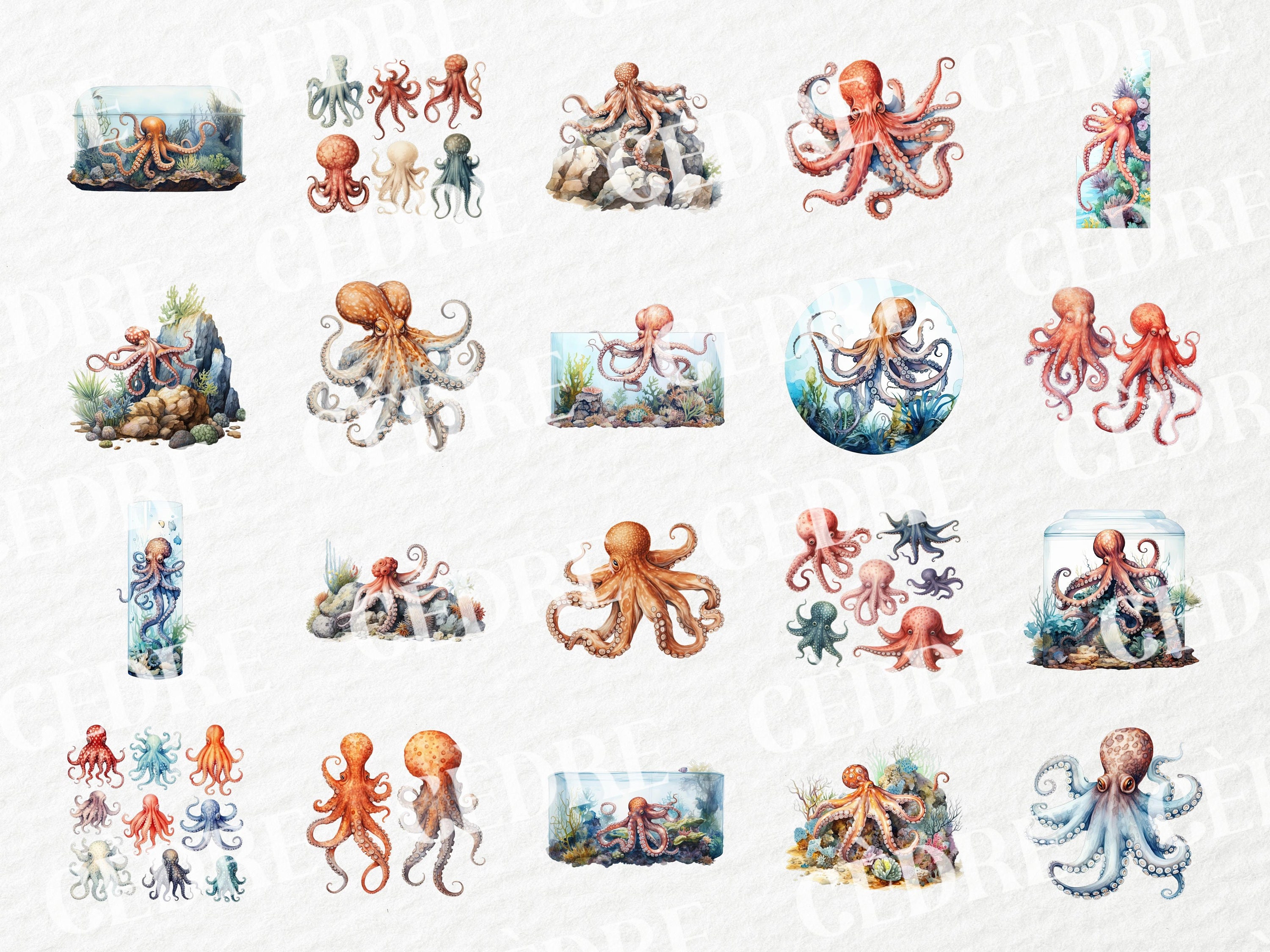 Watercolor Octopus Clipart, Sea Life Octopus Clipart, Under the Sea ...