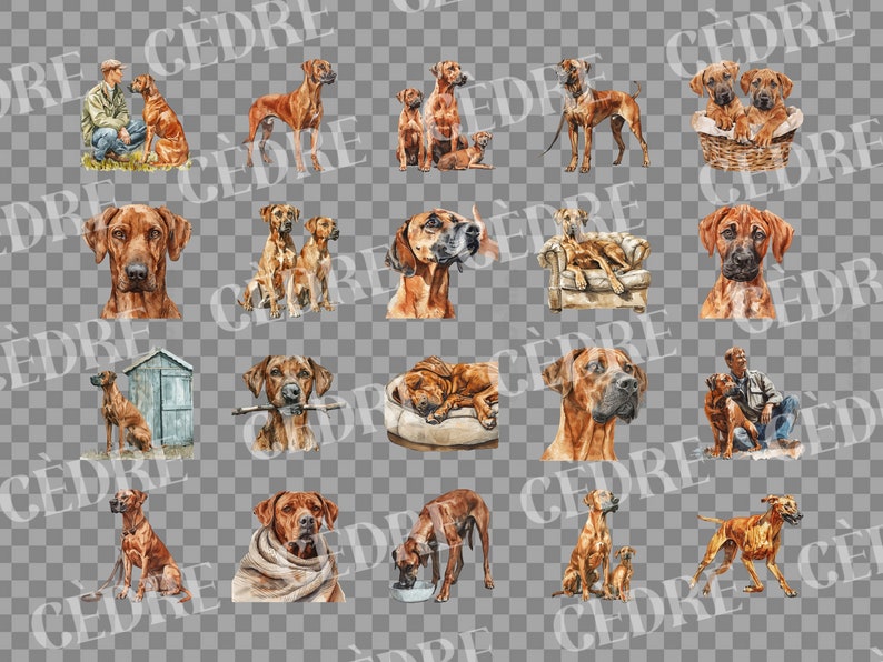 Watercolor Rhodesian Ridgeback Clipart, South Africa Ridebacks Clipart ...
