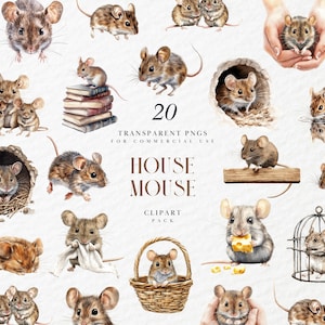 Watercolor Brown Mouse Clipart, Realistic, Rodents, Pets, House Mouse ...