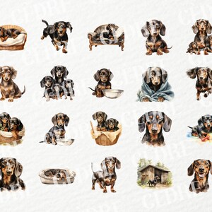 Watercolor Dachshund Clipart, Dachshunds Clipart, Puppy Cute Puppies ...