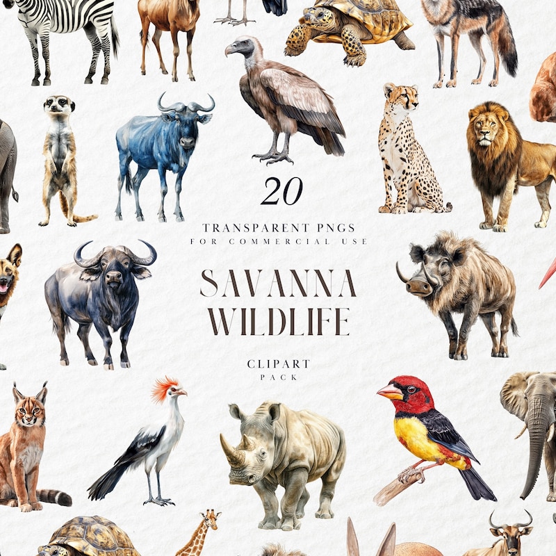 Africa Wildlife Icon - Etsy