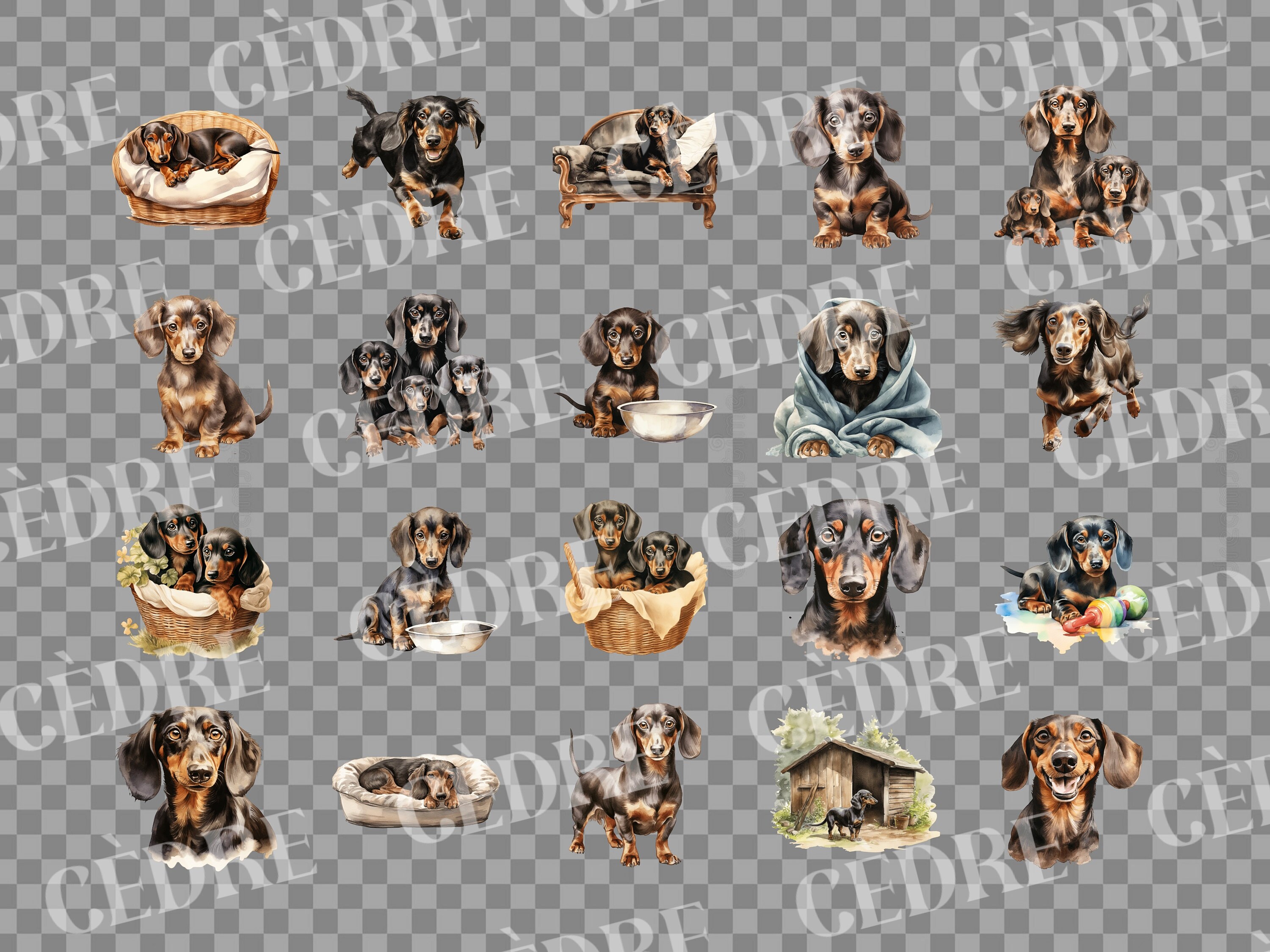 Watercolor Dachshund Clipart, Dachshunds Clipart, Puppy Cute Puppies ...
