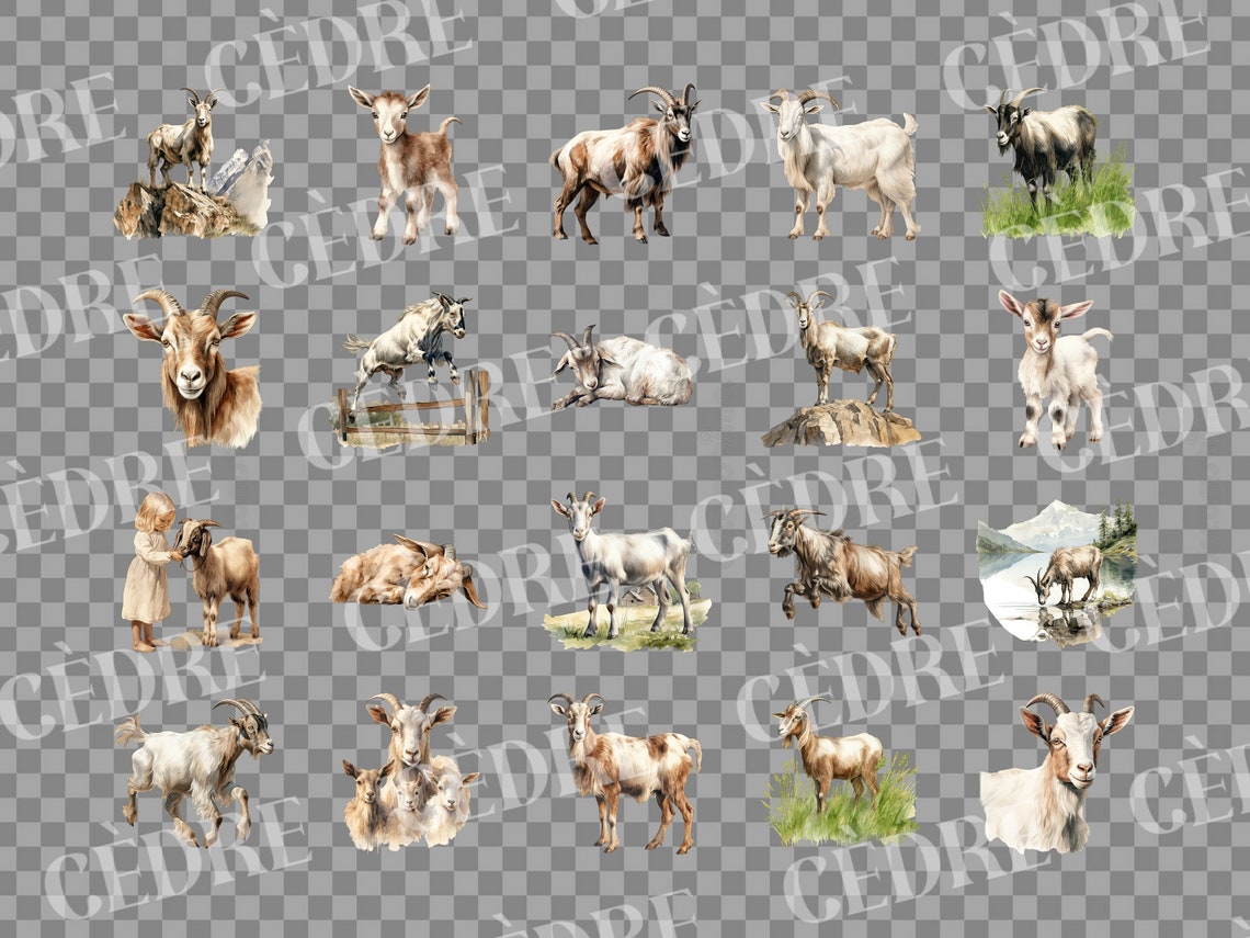 Watercolor Goat Clipart, Goats Clipart, Mountain Goat Clipart, Baby ...