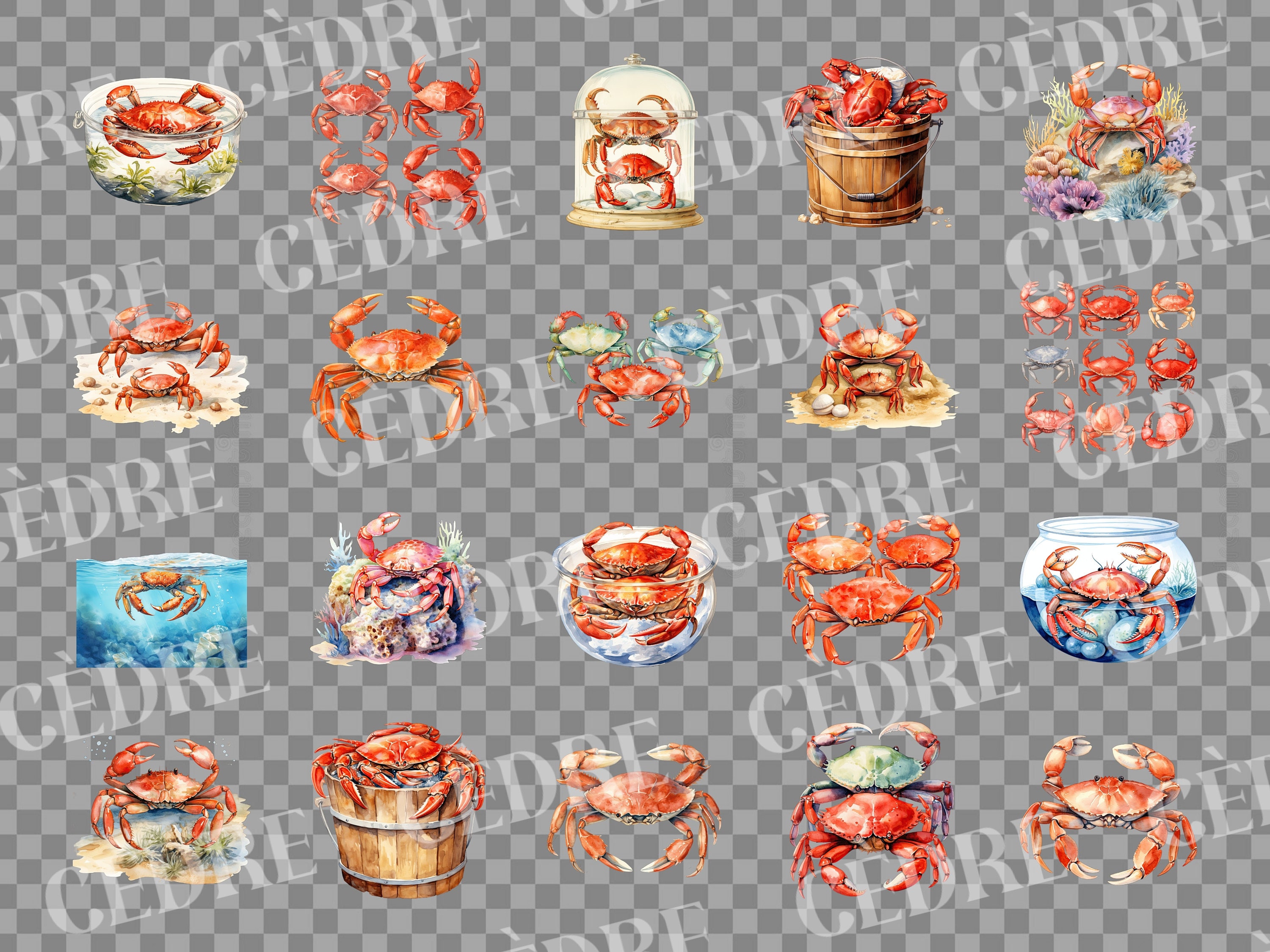 Watercolor Crab Clipart, Sea Life Crabs Clipart, Under the Sea ...