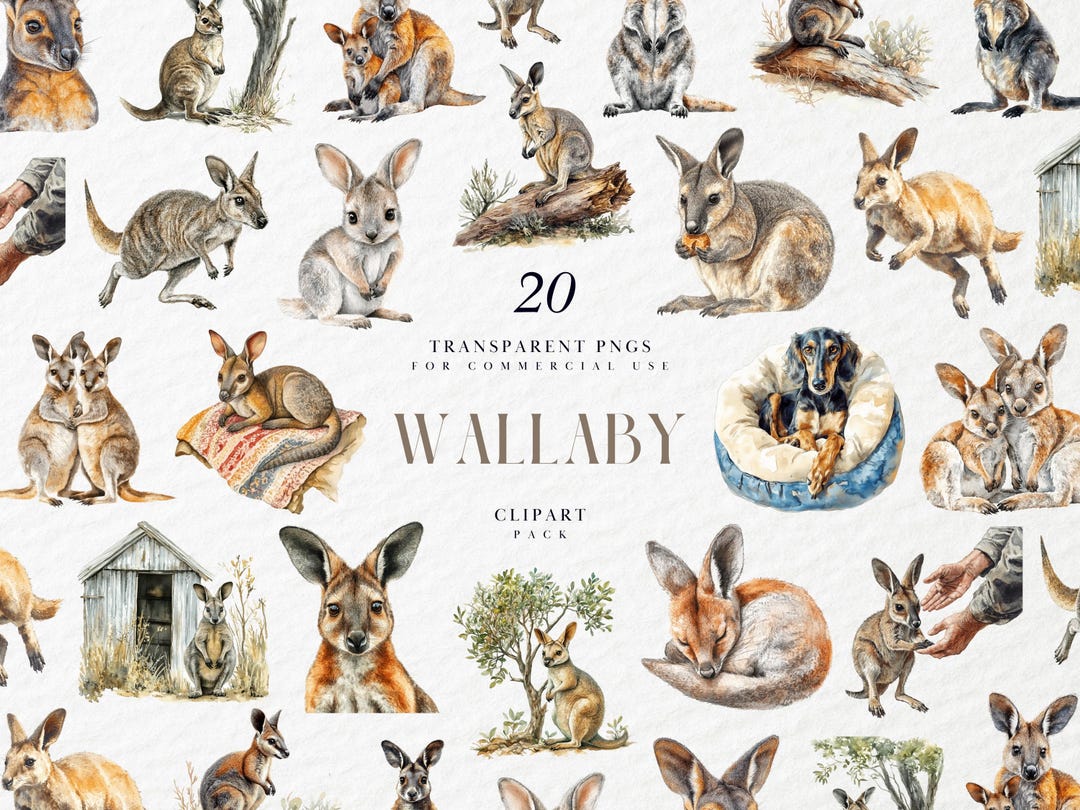 Watercolor Wallaby Clipart, Cute Australian Marsupial Animal, Baby ...
