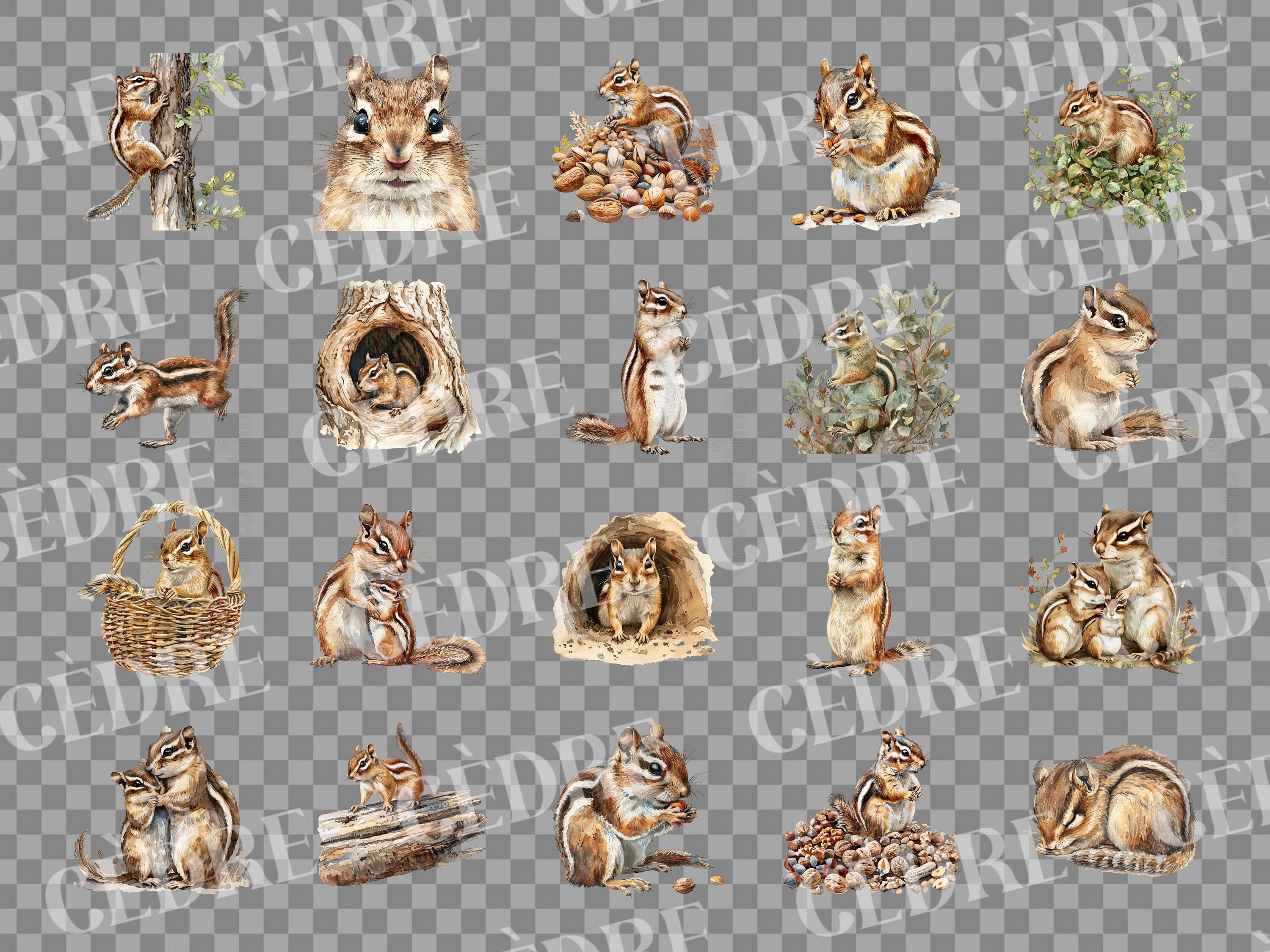 Watercolor Chipmunk Clipart, Woodland Chipmunks Clipart, Cute Baby ...