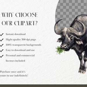Watercolor Water Buffalo Clipart, Asian River Swamp Buffalo, Bison ...