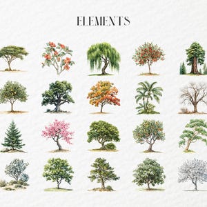 Watercolor Assorted Trees Clipart, Botanical Forest Foliage, Evergreen ...