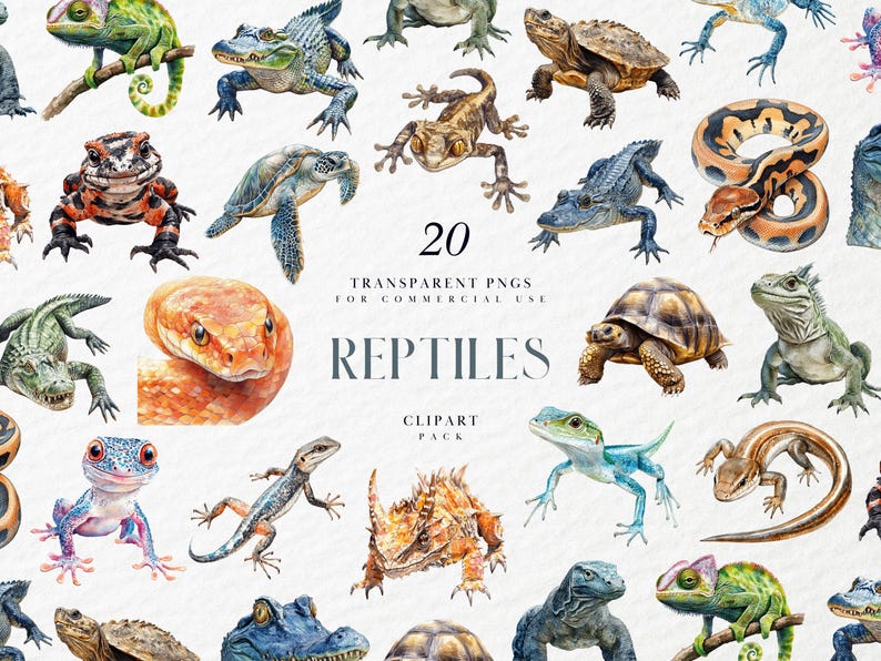 Watercolor Reptiles Clipart, Lizard Snake Turtle Alligator, Realistic ...
