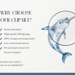 Watercolor Narwhal Clipart, Toothed Whale Clipart, Marine Mammals ...