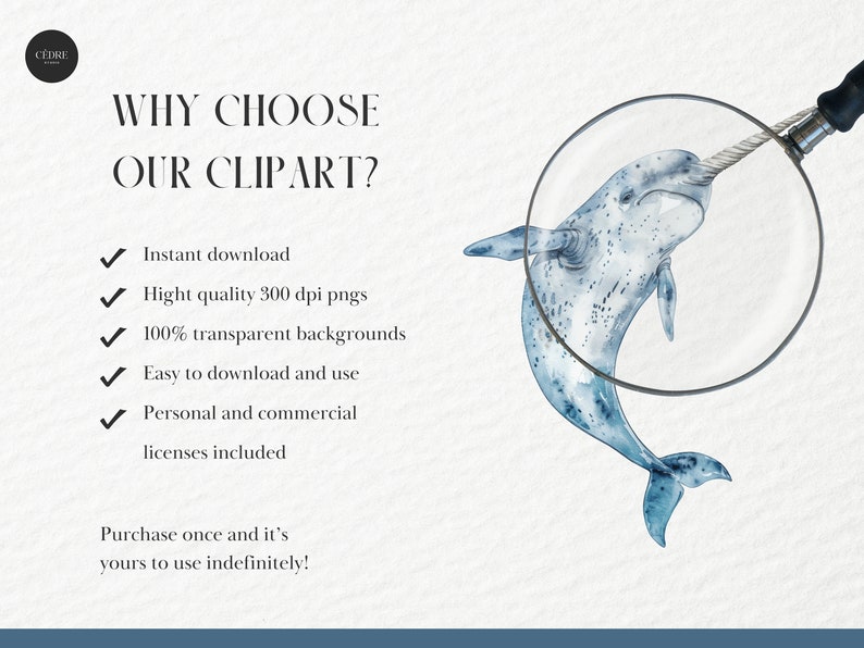 Watercolor Narwhal Clipart, Toothed Whale Clipart, Marine Mammals ...