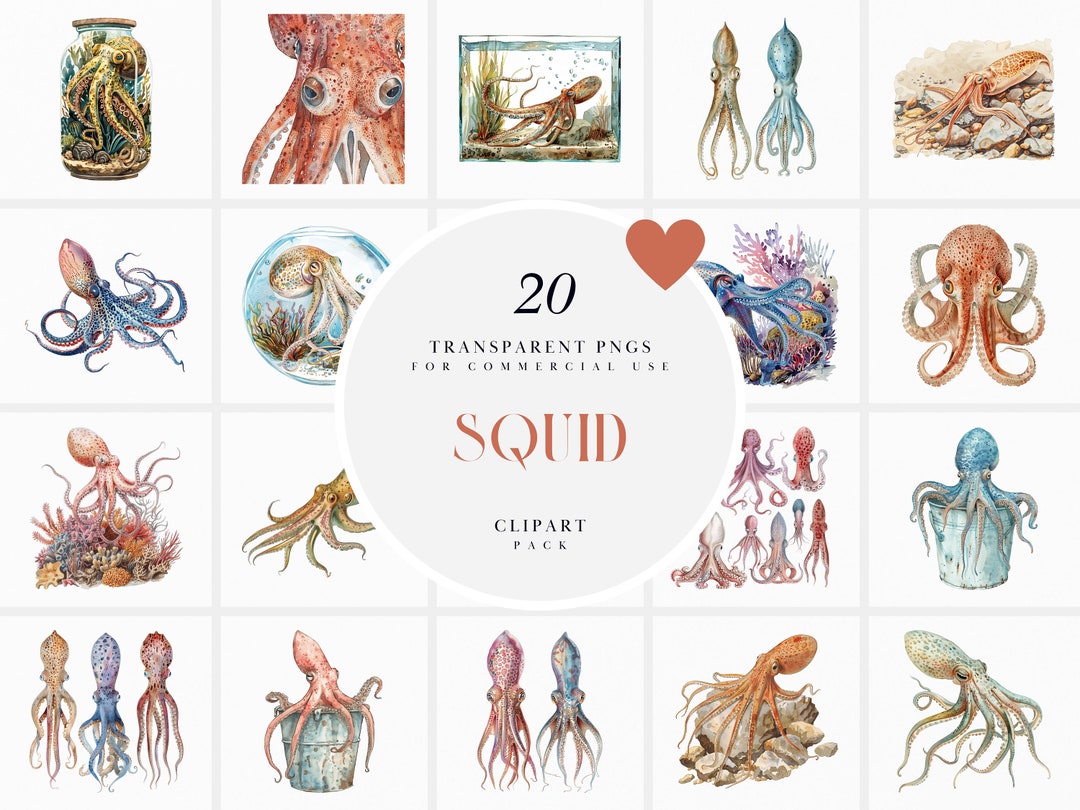 Watercolor Squid Clipart, Sea Life Squid Clipart, Squids Clipart, Under ...