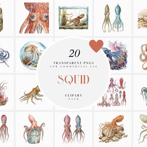 Watercolor Squid Clipart, Sea Life Squid Clipart, Squids Clipart, Under ...