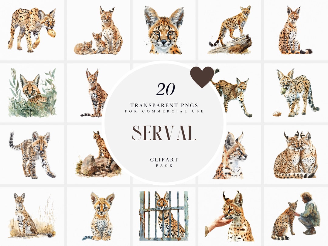 Watercolor Serval Clipart, Big Wild Cat, African Savanna Animals ...