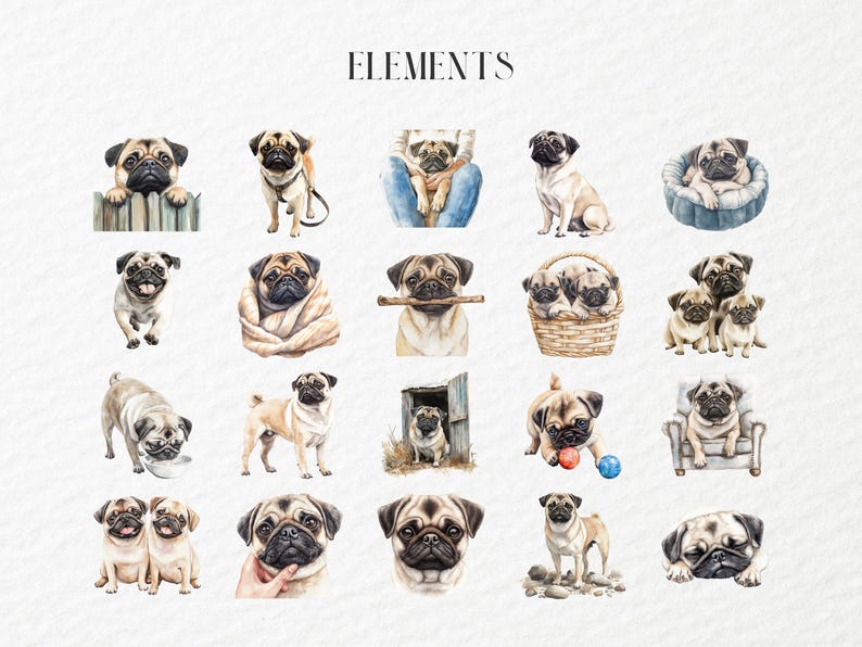 Watercolor Pug Clipart, Adorable Smoosh-faced Puppy Illustration, Cute ...