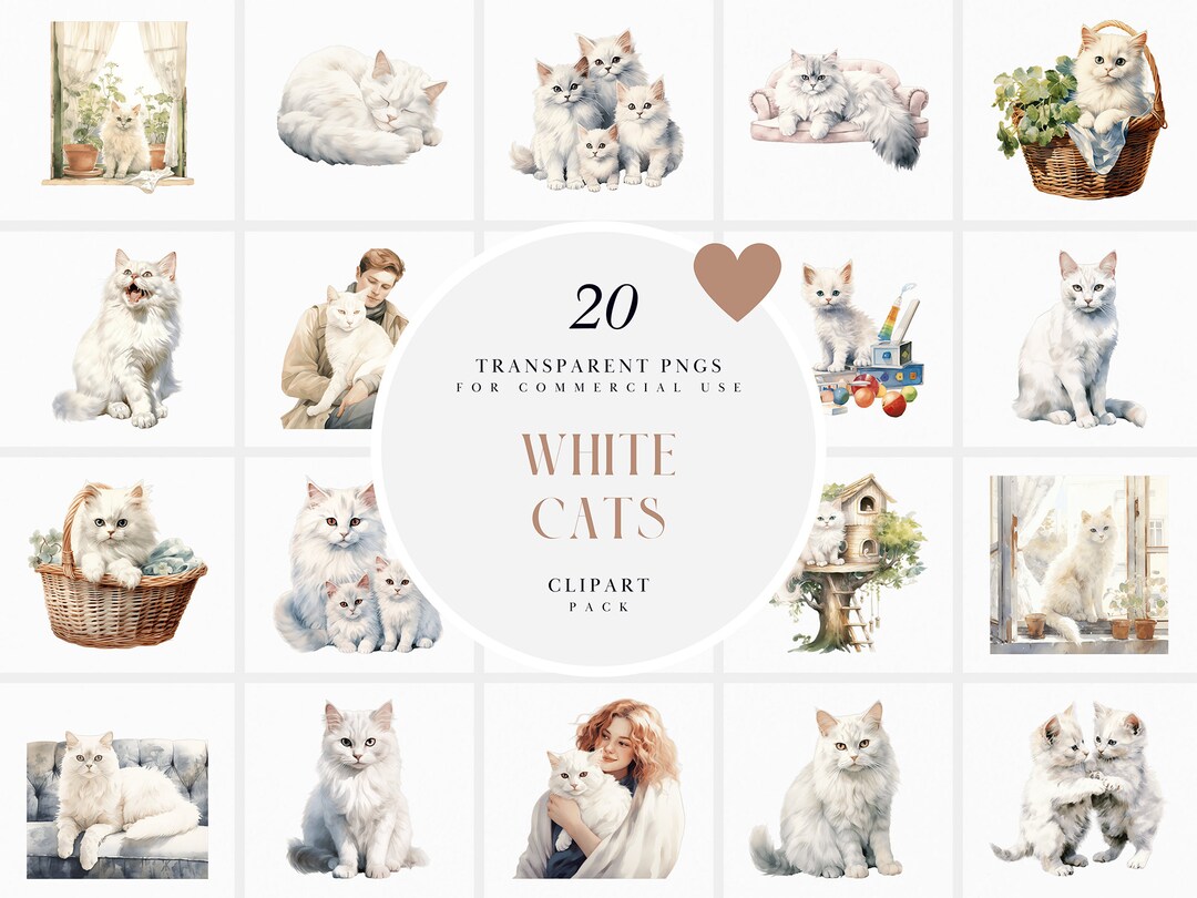 Watercolor White Cat Clipart, Cute White Cats Clipart, White Kittens ...