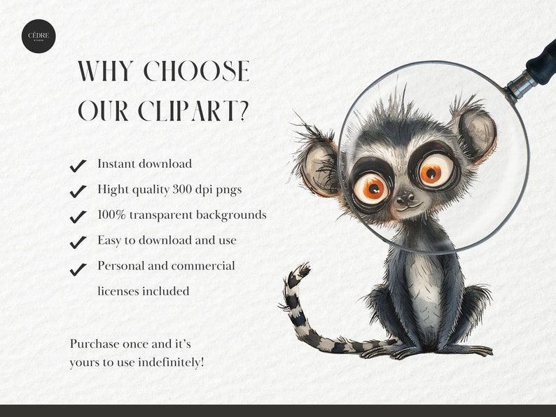 Watercolor Quirky Zoo Animals Clipart, Cute Funny Zoo Animals Clipart ...