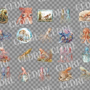Watercolor Squid Clipart, Sea Life Squid Clipart, Squids Clipart, Under ...