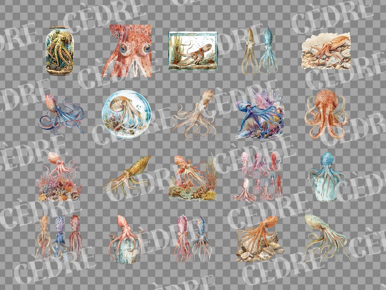 Watercolor Squid Clipart, Sea Life Squid Clipart, Squids Clipart, Under ...