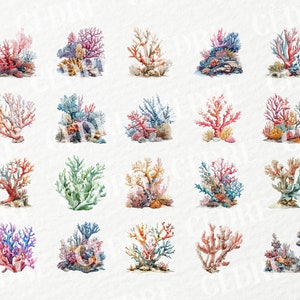 Watercolor Sea Coral Clipart, Coastal Ocean Coral Clipart, Marine Coral ...